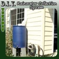 DIY: Rainwater Collection System - LPC Survival