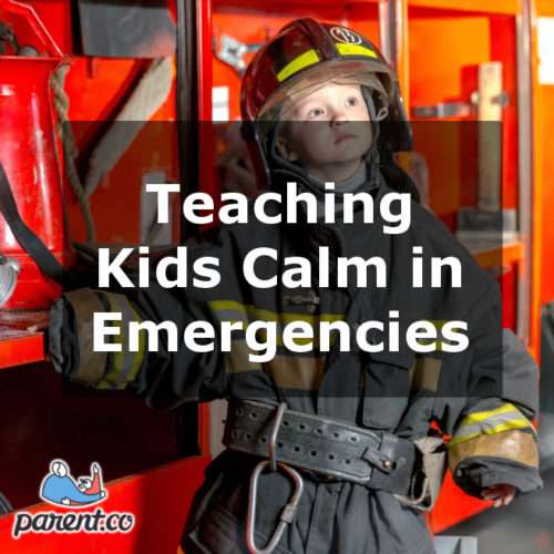 Teaching Kids Calm in Emergencies - LPC Survival